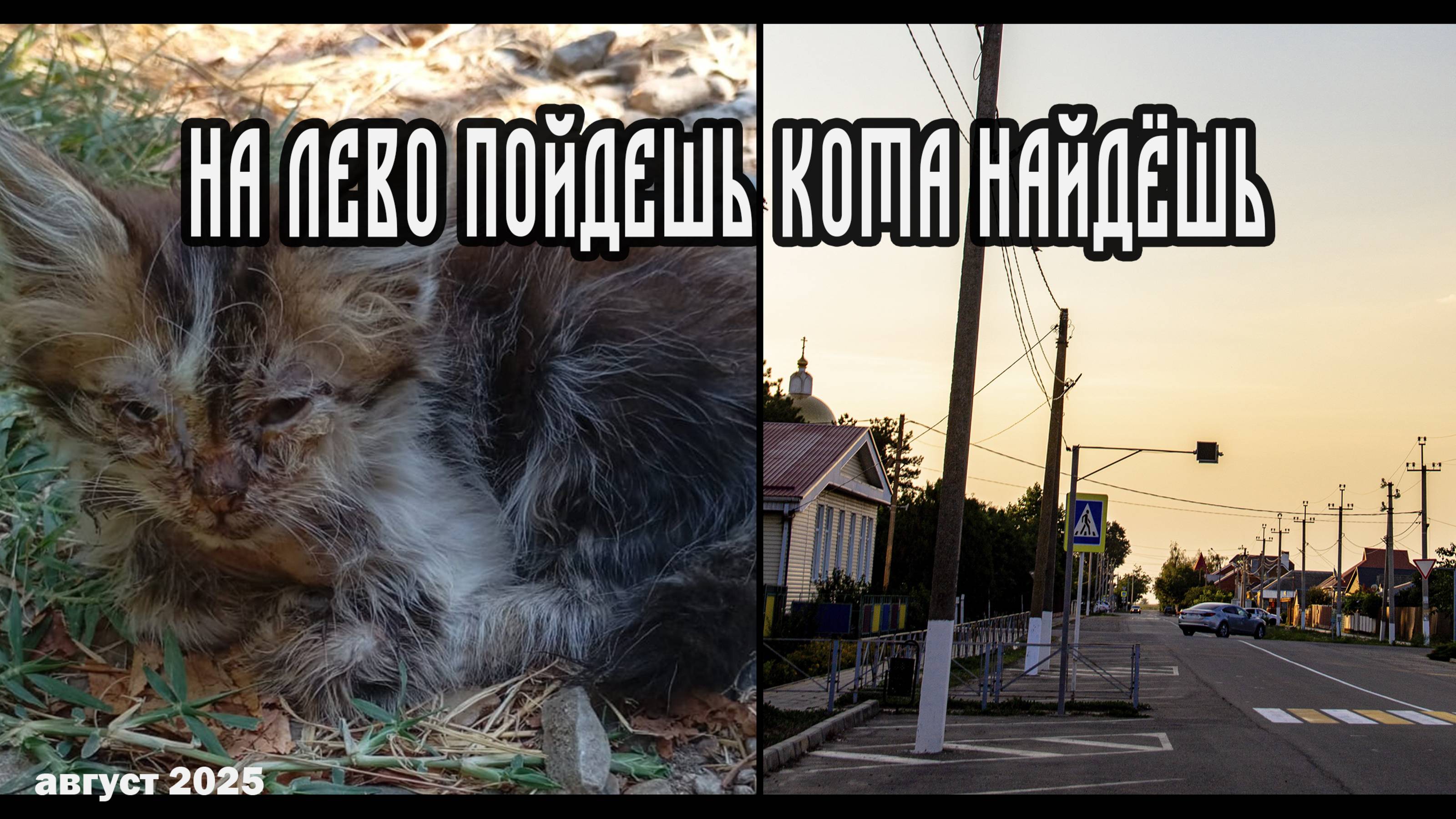 Пошла на лево и нашла кота!