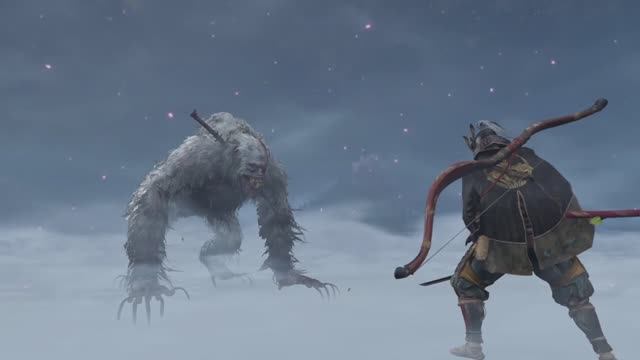 Сражения NPS в Sekiro