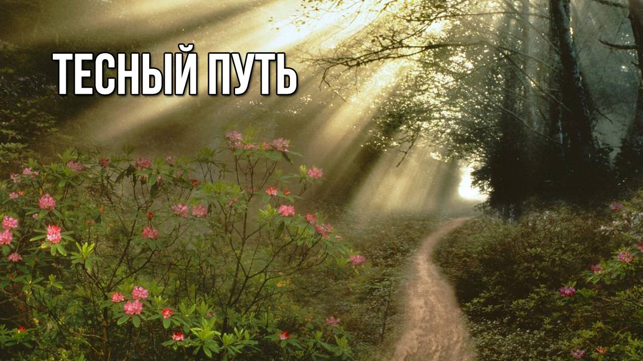 Тесный путь. «Вечерний Ейск» от 2025.09.05