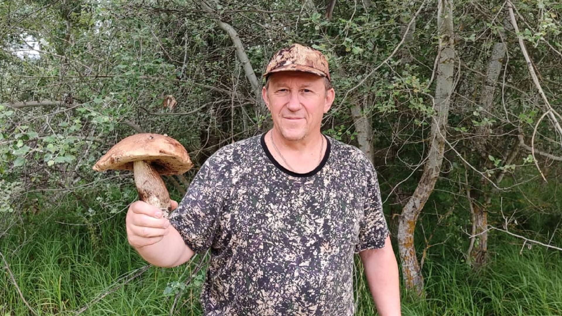 Летние грибы