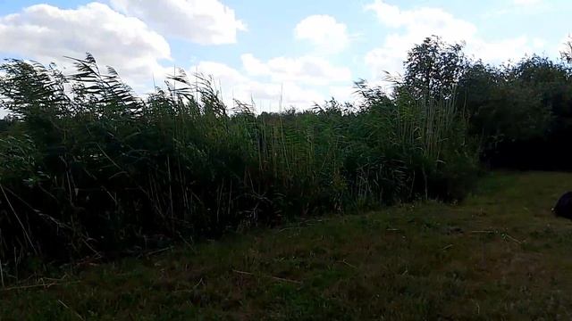 Поездка в деревню.