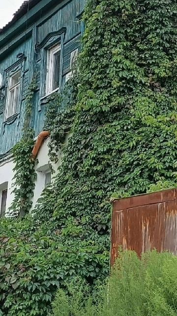 И это тоже Воронеж