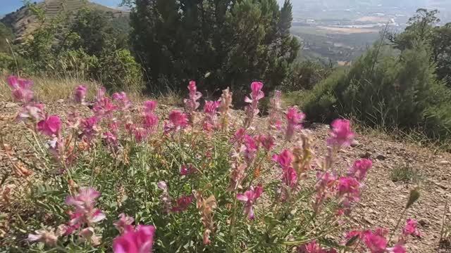 СУДАК Крым Подъём на Ай Георгий. ВНЕЗЕМНАЯ красота!