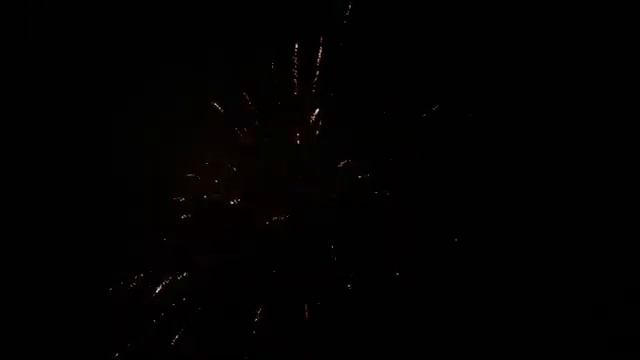 FP-B311 БОЛЬШОЙ КУШ