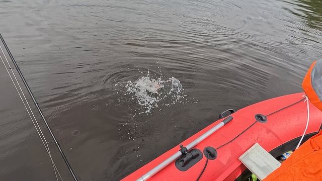 Рыбачим на КАМЕ (день третий)