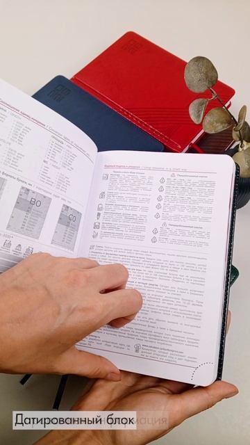 Ежедневники датированные 2026 ESCALADA Classic, арт 70218-70223