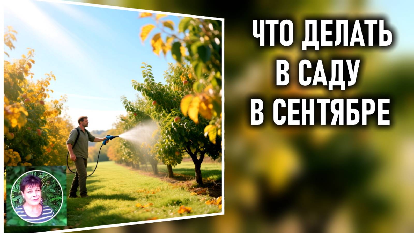 Что делать в саду в сентябре. Поливы подкормки обработки от болезней и вредителей