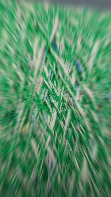 Class | хлопок с утолщениями + люрекс | preview