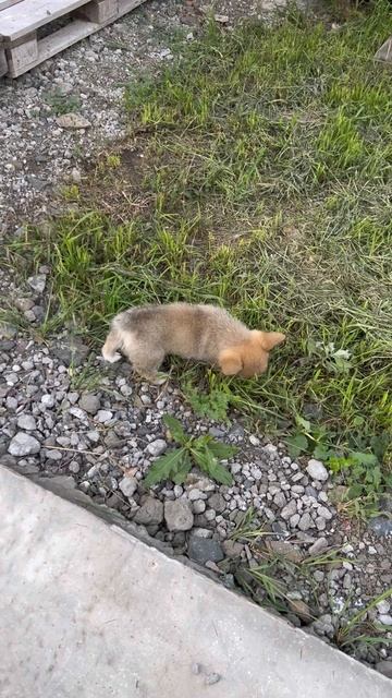 Меня всегда папа пугает