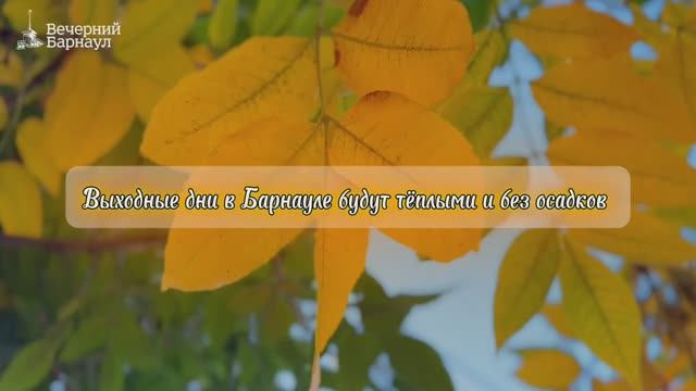 Выходные дни на территории Барнаула будут тёплыми и без осадков