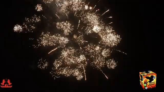 FP-B363 Ночной ястреб