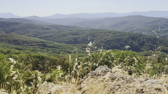 Релакс от природы - 1🌲🌾⛺🌳