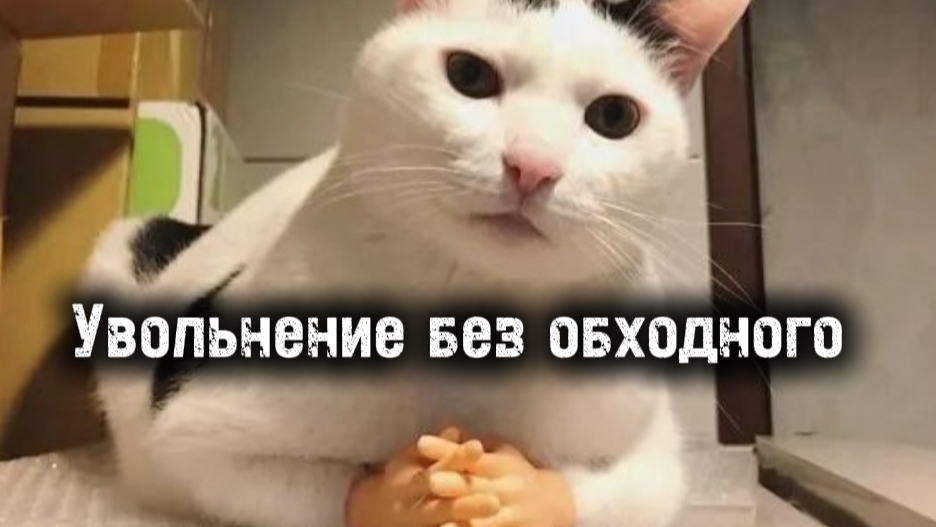 Увольнение без обходного. История из жизни