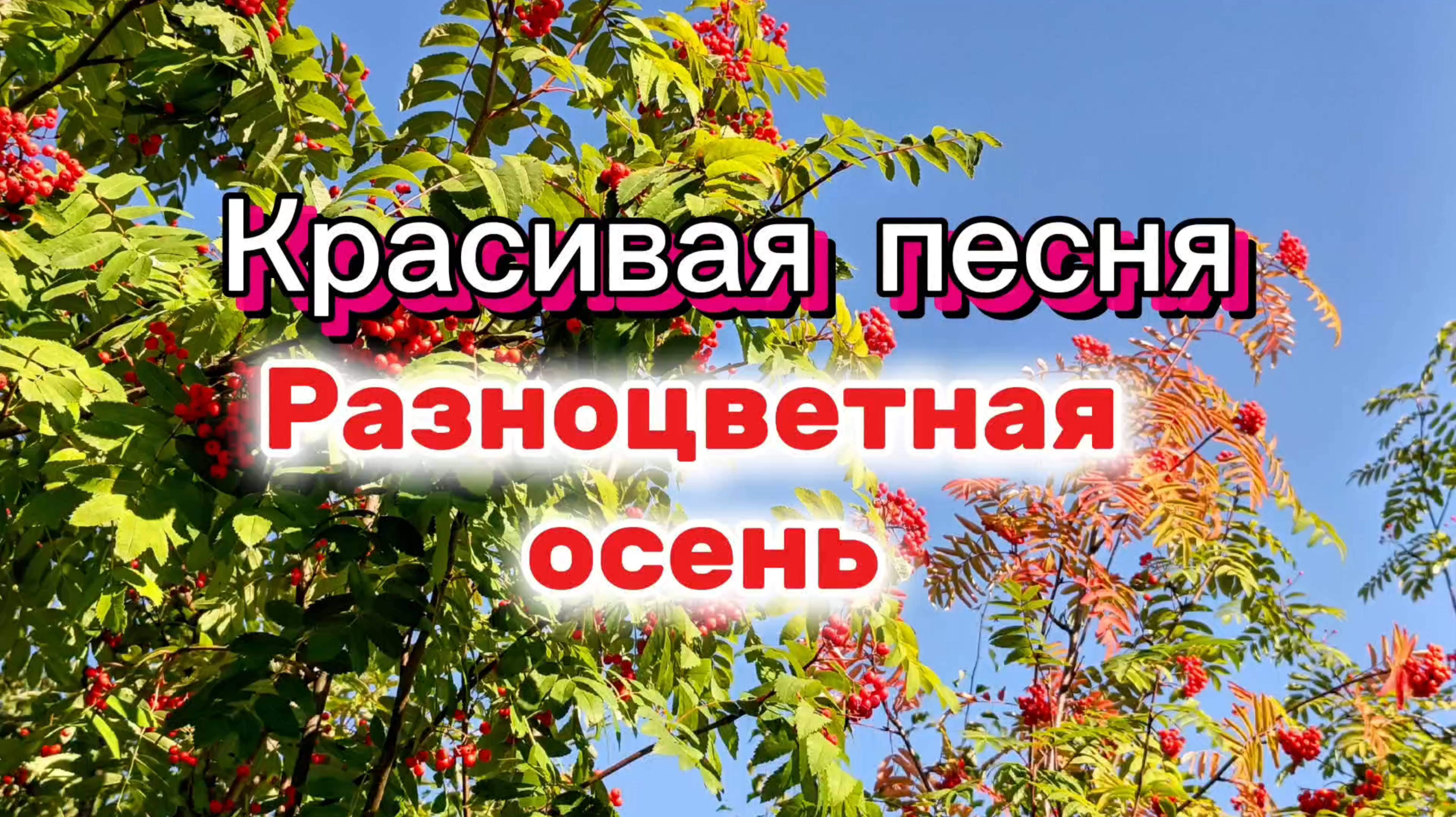 Красивая песня РАЗНОЦВЕТНАЯ ОСЕНЬ.