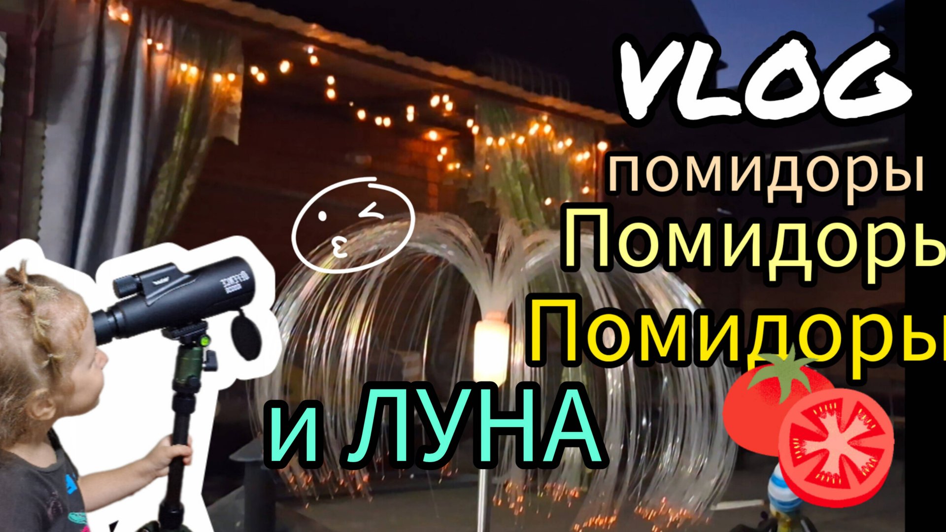 🏡 ВЛОГ Нашли ЛУНУ | Жара | Консервирую |ПОМИДОРЫ  🍅 Август 2025