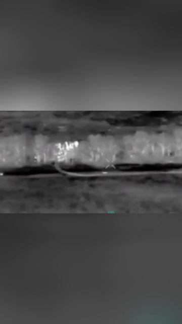 Как освобождали Камышеваху