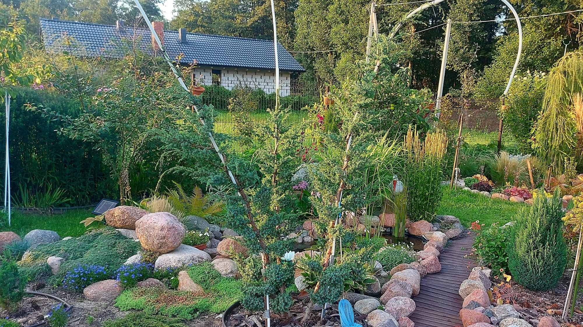 Любимая дача в сентябре-природа рассказывает свои последние летние истории 🤗🌞🌲🌸🤗