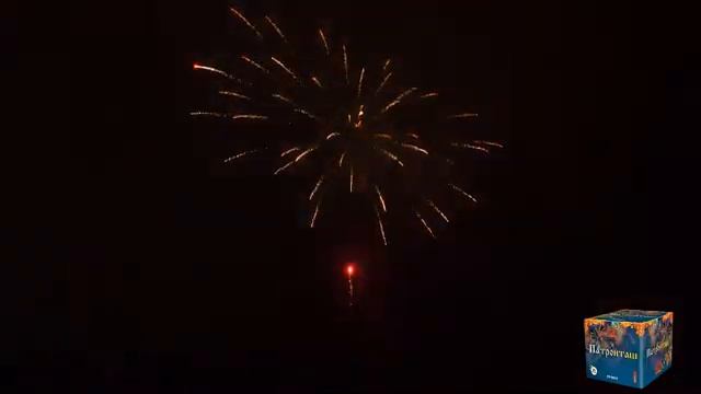 FP-B417 ПАТРОНТАШ 2