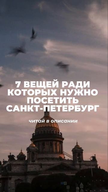 Что делать в Санкт-Петербурге?