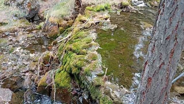 Горный Алтай! Дорога с Кош-Агача  в Онгудайский район экстремальная ночевка