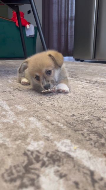 Можете продержаться без еды