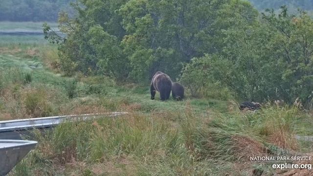 Отдых закончен- ближе к вечеру пора идти ловить рыбу