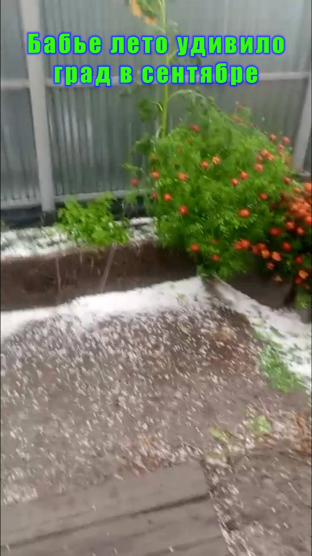 Бабье лето удивило - град в сентябре