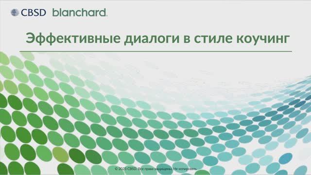 Андрей Крикунов, тренер-эксперт CBSD, фрагменты тренинга Диалоги в стиле коучинг. Бланшар.