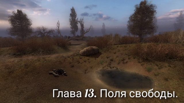 Глава 13. Поля свободы.