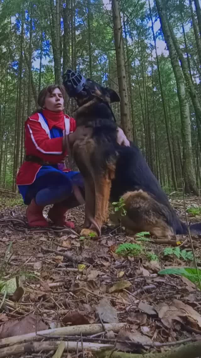 Что можно делать в лесу? Рассказывает Лукас)) ❥ Приют в Малинках