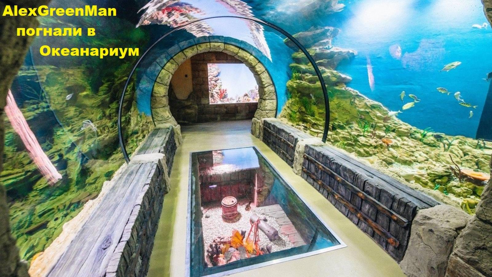 Погнали в Екатеринбургский Океанариум