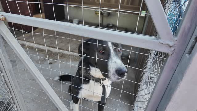 КУПИТЬ ДОМ В ДЕРЕВНЕ | ВЫЖИВАЕМ на ЮГЕ РОССИИ | Бросили город и уехали жить в деревню