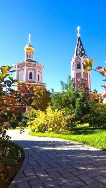 Душевный лекарь#Церковь#shortvideo#shorts#Молитва#Православие