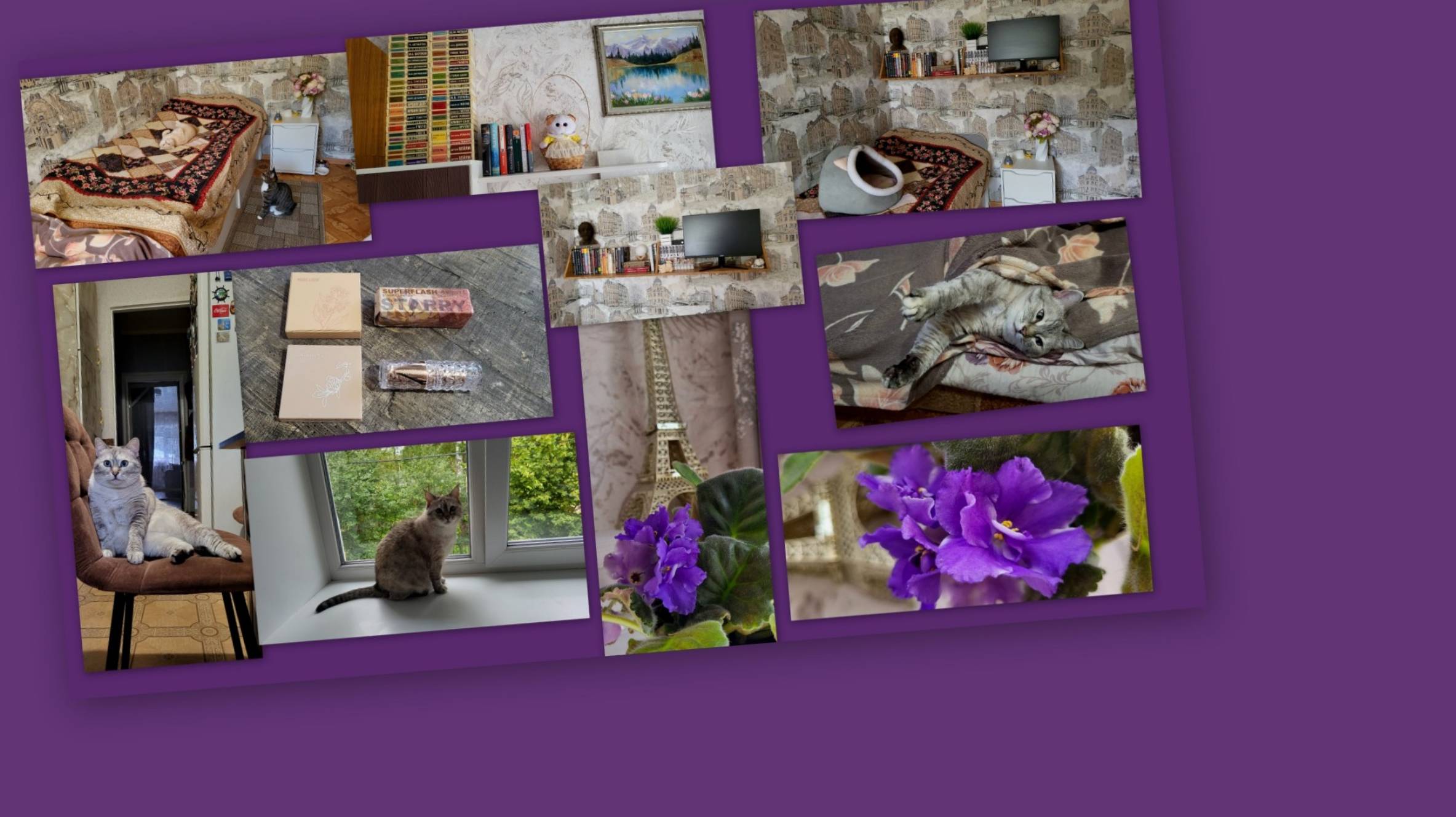 ВЛОГ: ГЕНЕРАЛЬНАЯ УБОРКА В КОМНАТЕ, КНИЖНЫЕ ПОЛКИ, ПОДАРКИ ОТ ЛЕНОЧКИ!