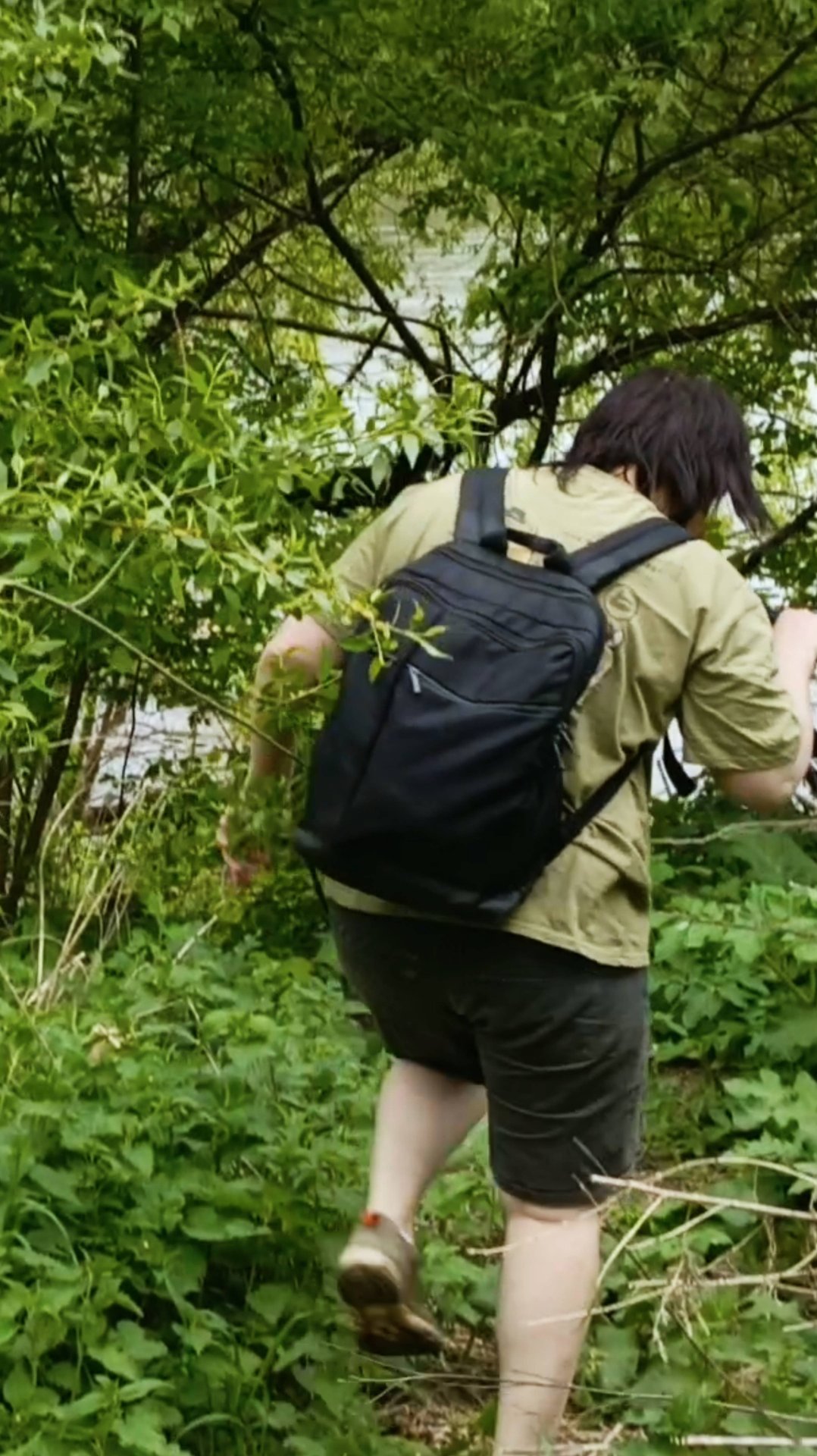 Лето прошло, но воспоминания остались 🍃  Ока, лесной водопад, собака