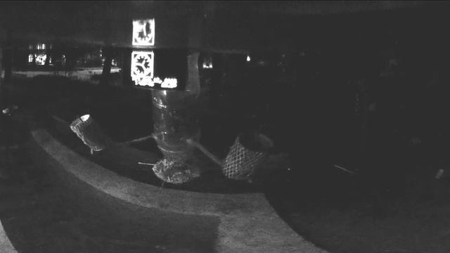 Под окном 2025 авг 03 - сент 01 свет в окно от авто