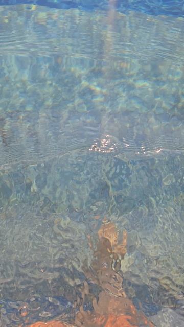 В бассейне отеля