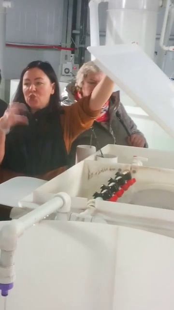 Осетровая ферма, фрагмент экскурсии #nature #shorts_video #travel #добрыйавтобус