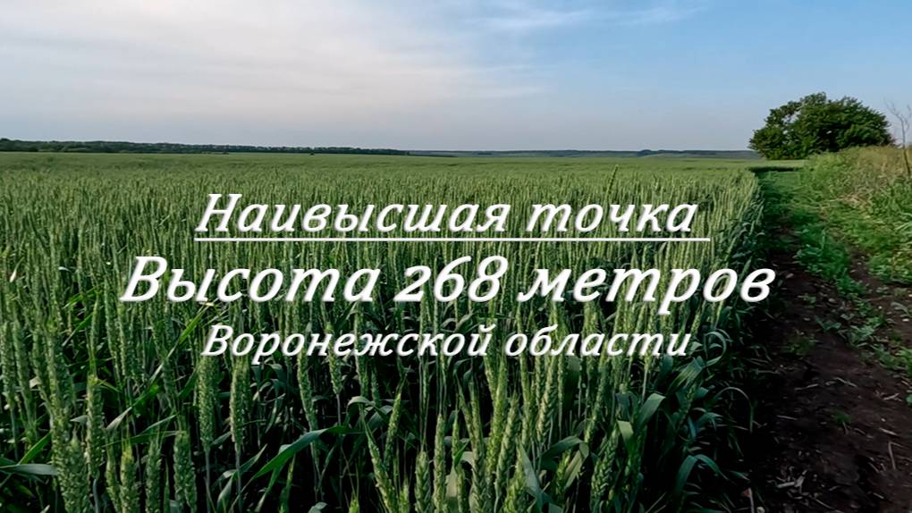 Высота 268 метров. Наивысшая точка Воронежской области.