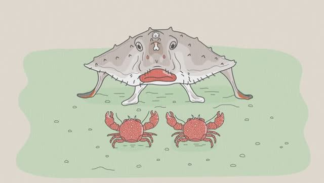 Сериал Невероятные факты эволюции — 8 серия / Zannen na Ikimono