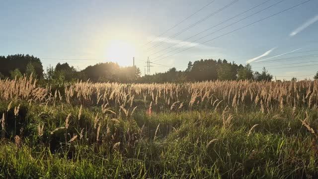 Вечерняя пробежка после работы.