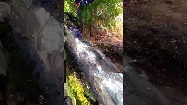 Дима вернулся, ходим по заросшим трубам (на этот раз стрим не забанят😁)