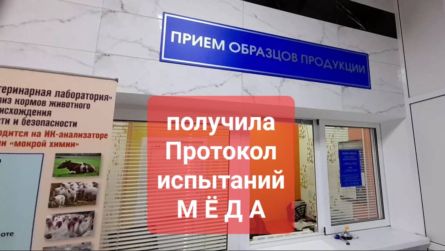 #пасека Получила протокол испытания мёда