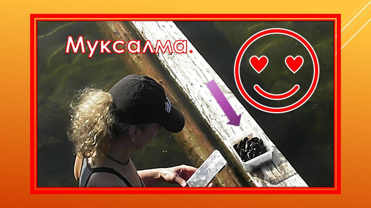 Соловки. Муксалма. Закон существования.