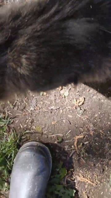 Дачный сезон начинается с Васи