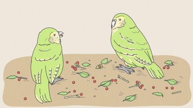 Сериал Невероятные факты эволюции — 10 серия / Zannen na Ikimono