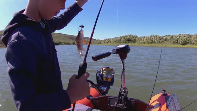 Ловим окуня для кормежки коршунов.