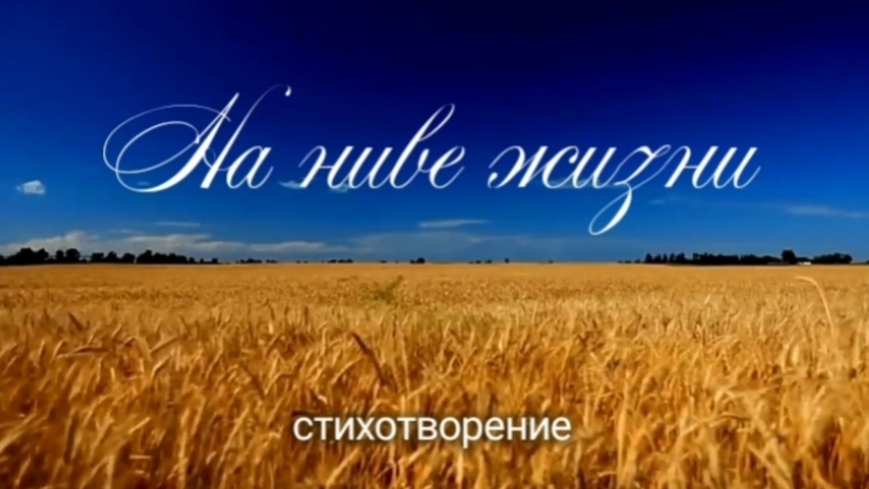 На ниве жизни 🍁🍂🌾 | стихи христианские