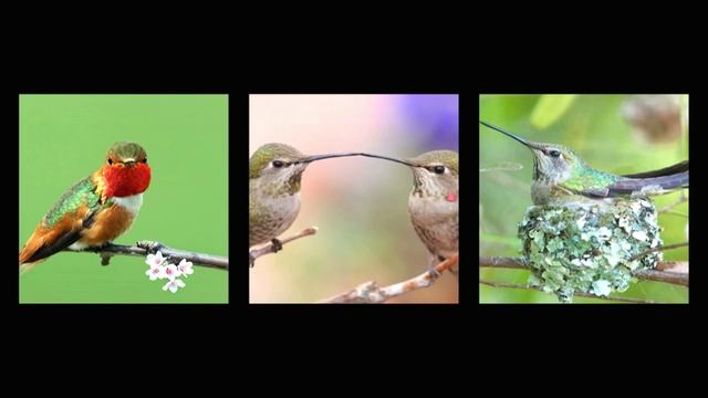 Plu-Ton  - Road to Heaven