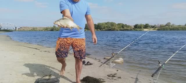 Попались лещи рыбалка на городском пляже в начале сентября.